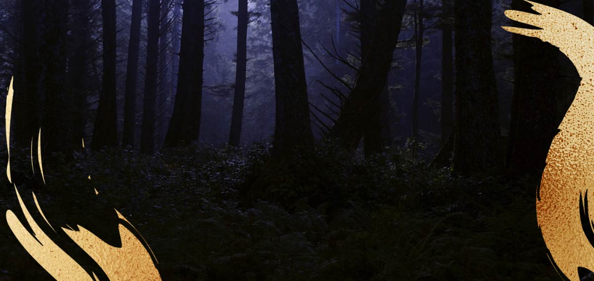 "L'assiuolo" di Pascoli, la poesia che celebra le piccole cose della vita