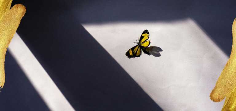 "Tu non sei", la profonda poesia di Erin Hanson erroneamente attribuita ...