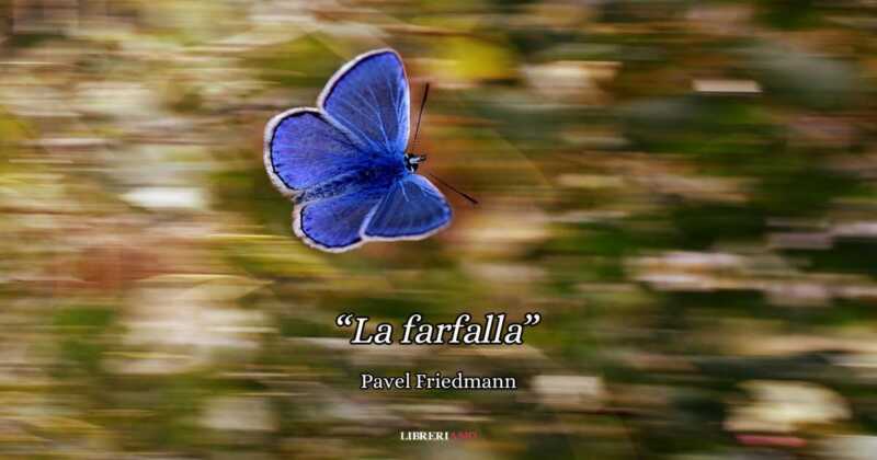 "La farfalla", una toccante poesia sulla Shoah per non dimenticare