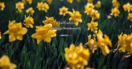 "Daffodils", una poesia di William Wordsworth per contemplare la ...