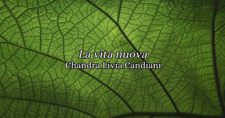 “La vita nuova” (2014) di Chandra Livia Candiani, un potente invito a cambiare prospettiva ...