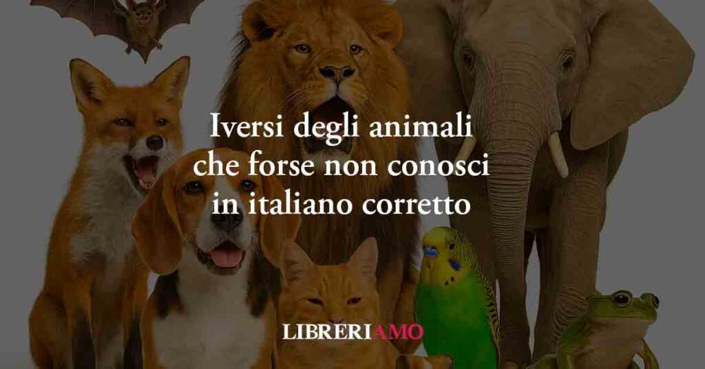 Italiano: 74 versi degli animali che forse non conosci, con verbi e nomi