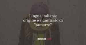 Lingua italiana: origine e significato di "tamarro"