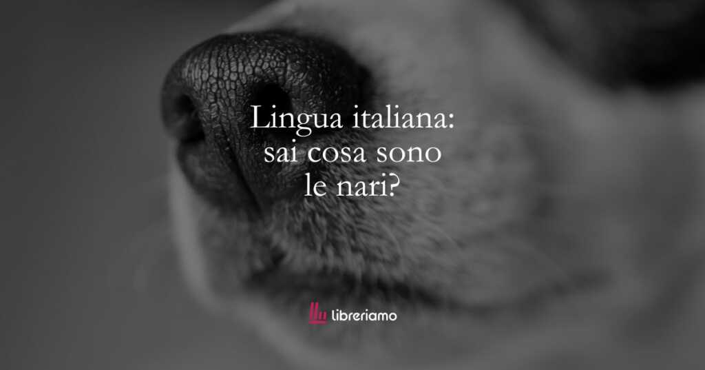 Lingua italiana: sai cosa sono le nari?